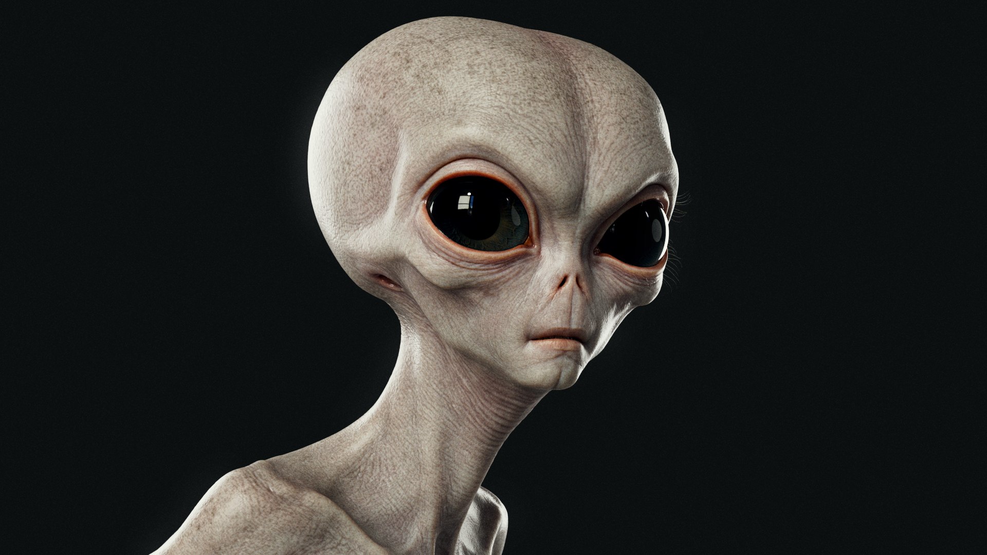 3D Humanoid Grey Alien - Rigged - TurboSquid 2151039