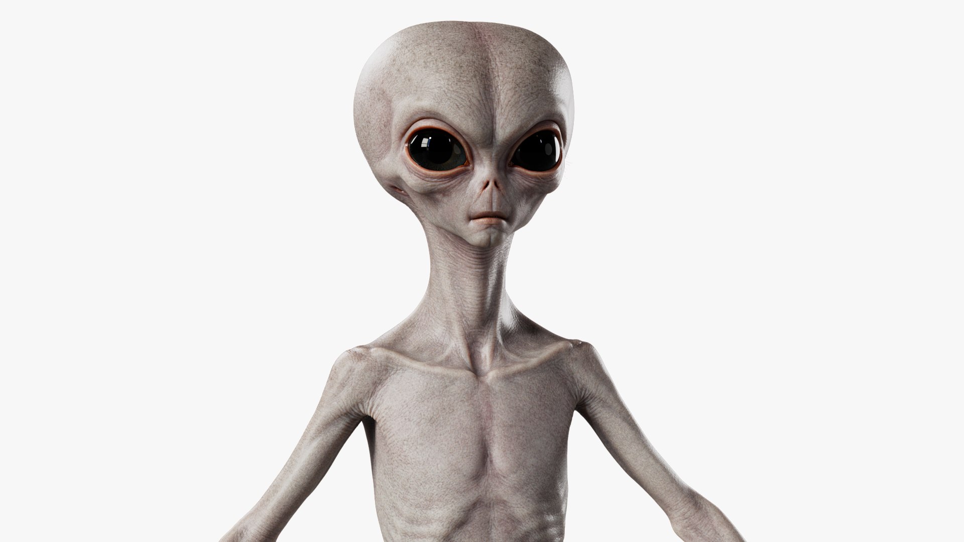 3D Humanoid Grey Alien - Rigged - TurboSquid 2151039
