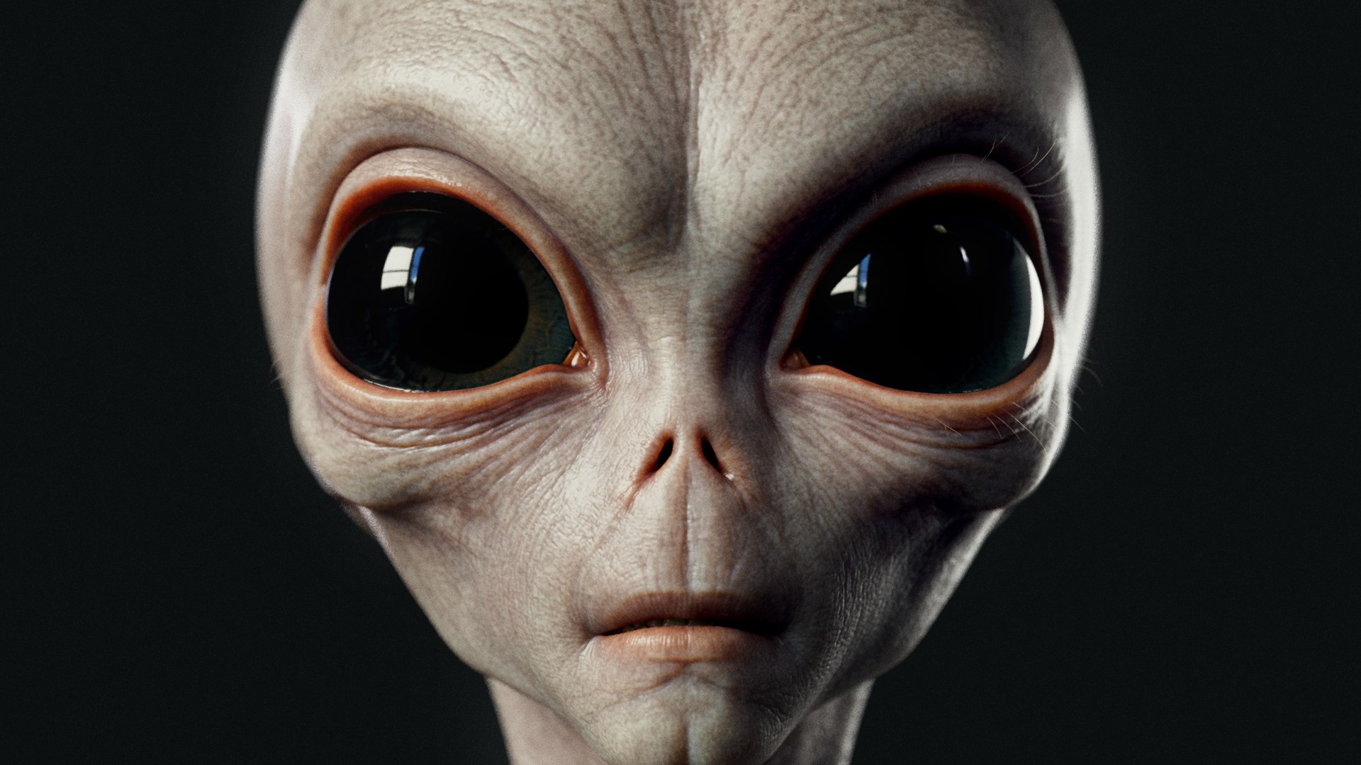 3D Humanoid Grey Alien - Rigged - TurboSquid 2151039