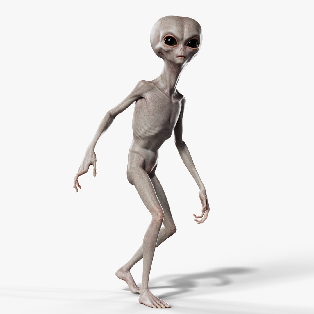 modelo 3d Alienígena gris humanoide - Rigged - TurboSquid 2151039