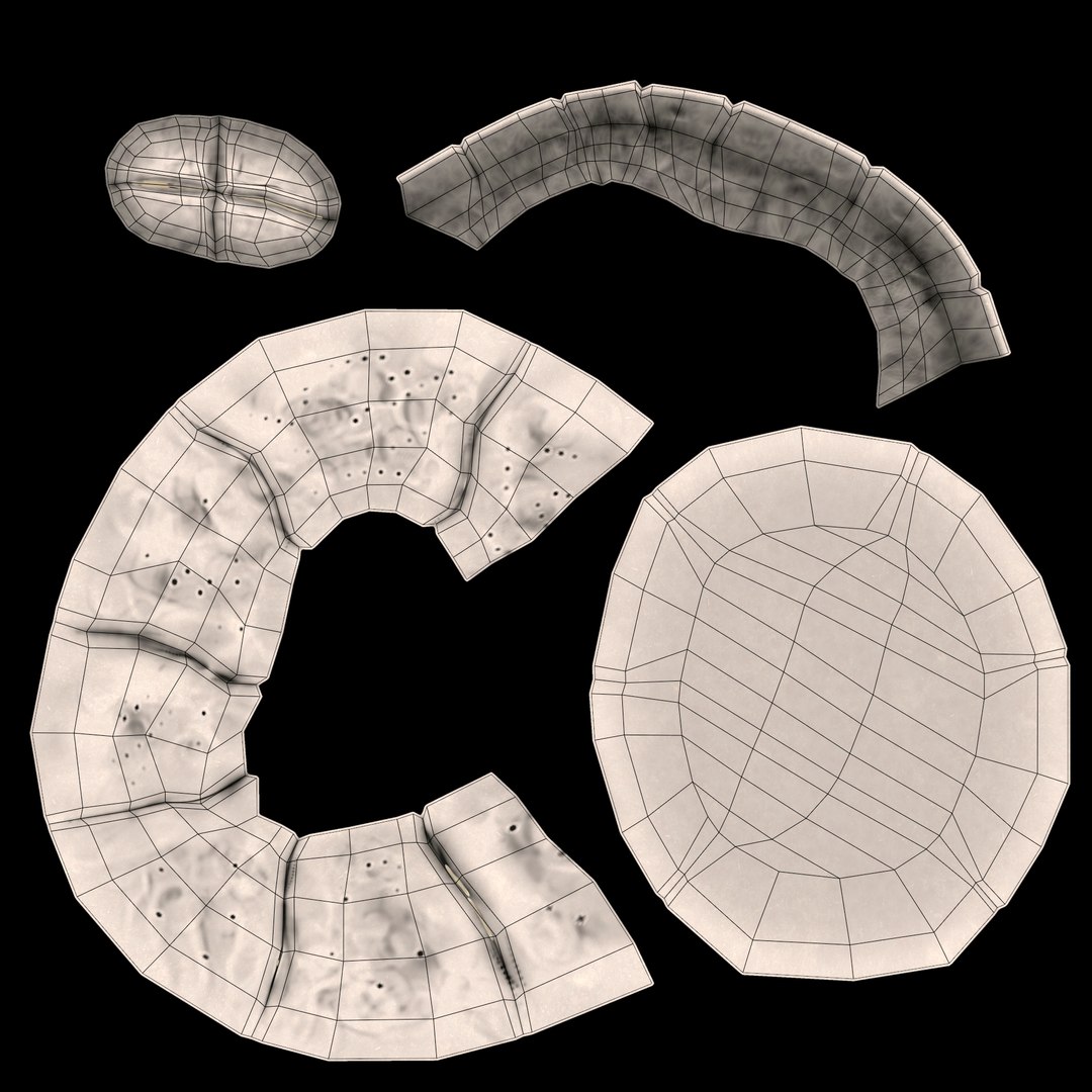 Turtle Barnacle 3D Model - TurboSquid 2360327