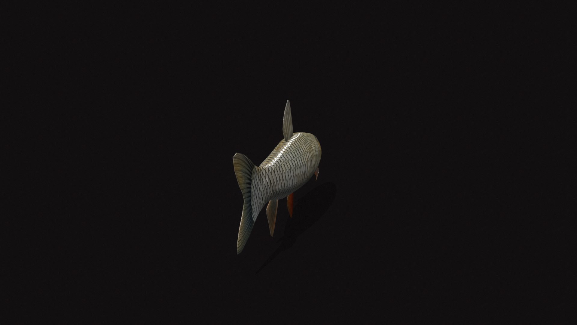 3D Medieval Fish 02 - TurboSquid 2326194