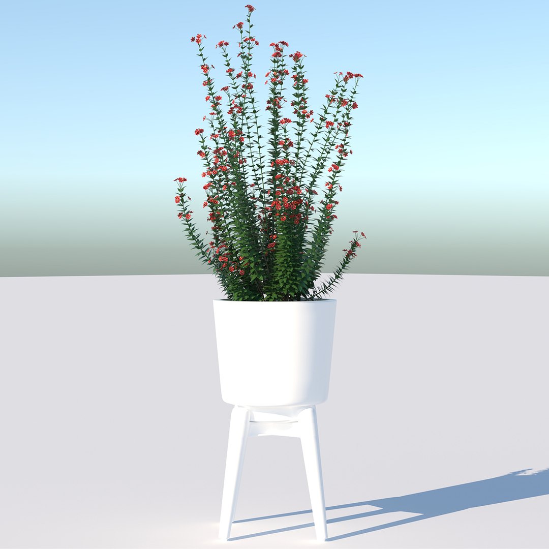 Plant pot 3D model - TurboSquid 1712859