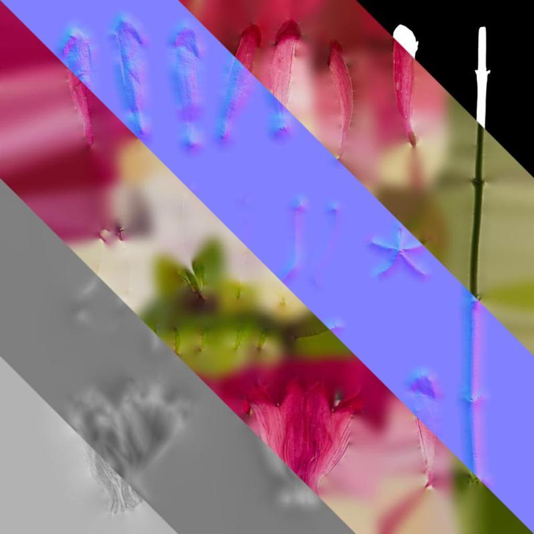 Anydrafts Penstemon Barbatus Flower 01 Textures 3D Model - TurboSquid ...