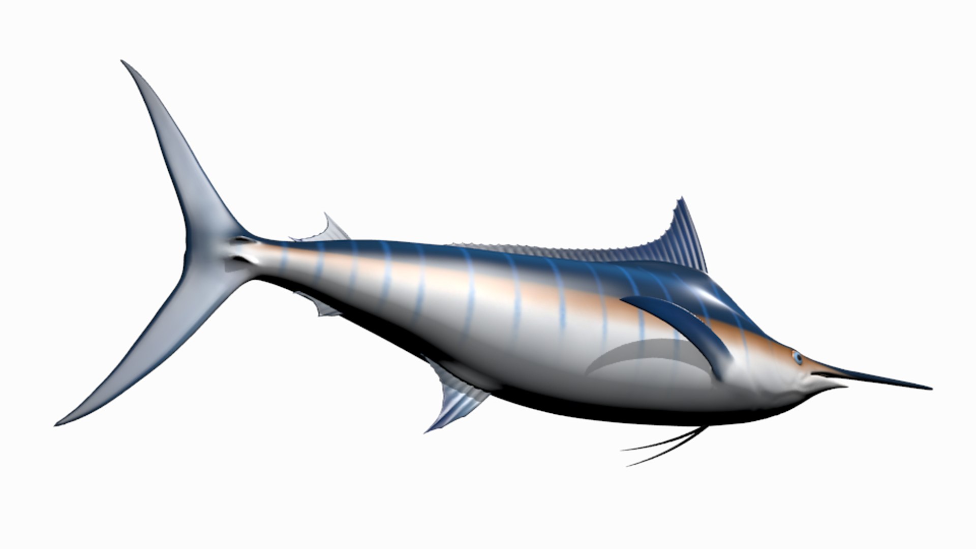 3d Model Realistic Blue Marlin Poses