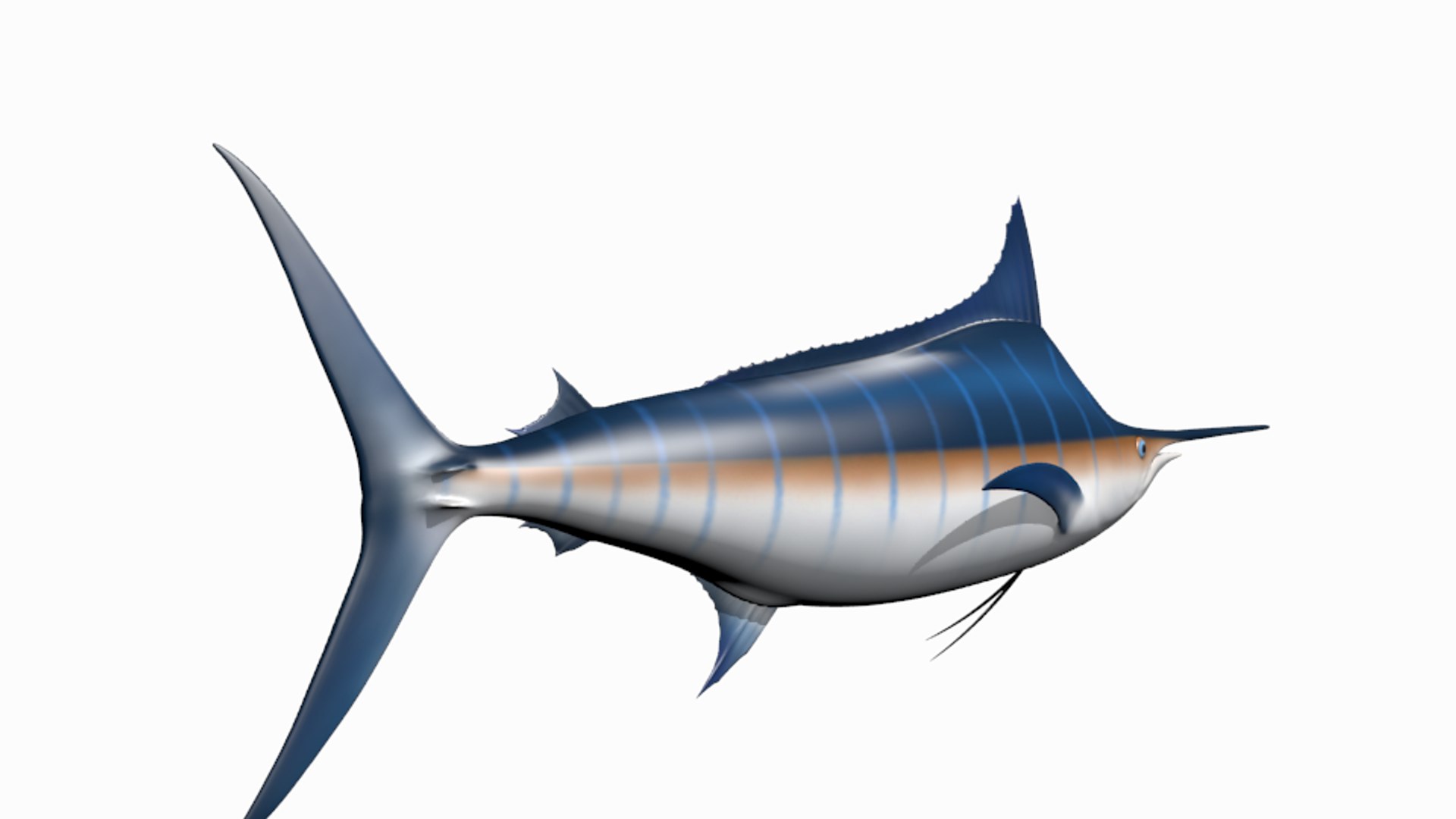 3d Model Realistic Blue Marlin Poses