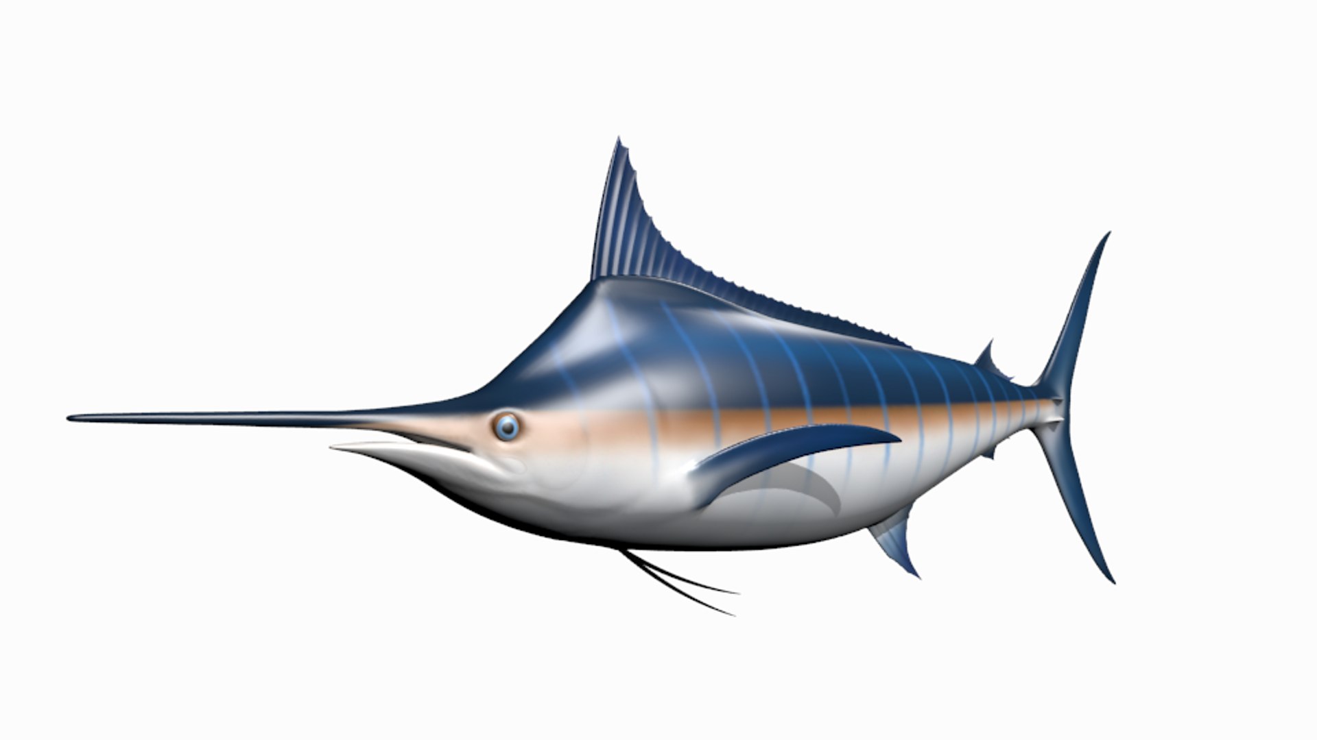 3d Model Realistic Blue Marlin Poses