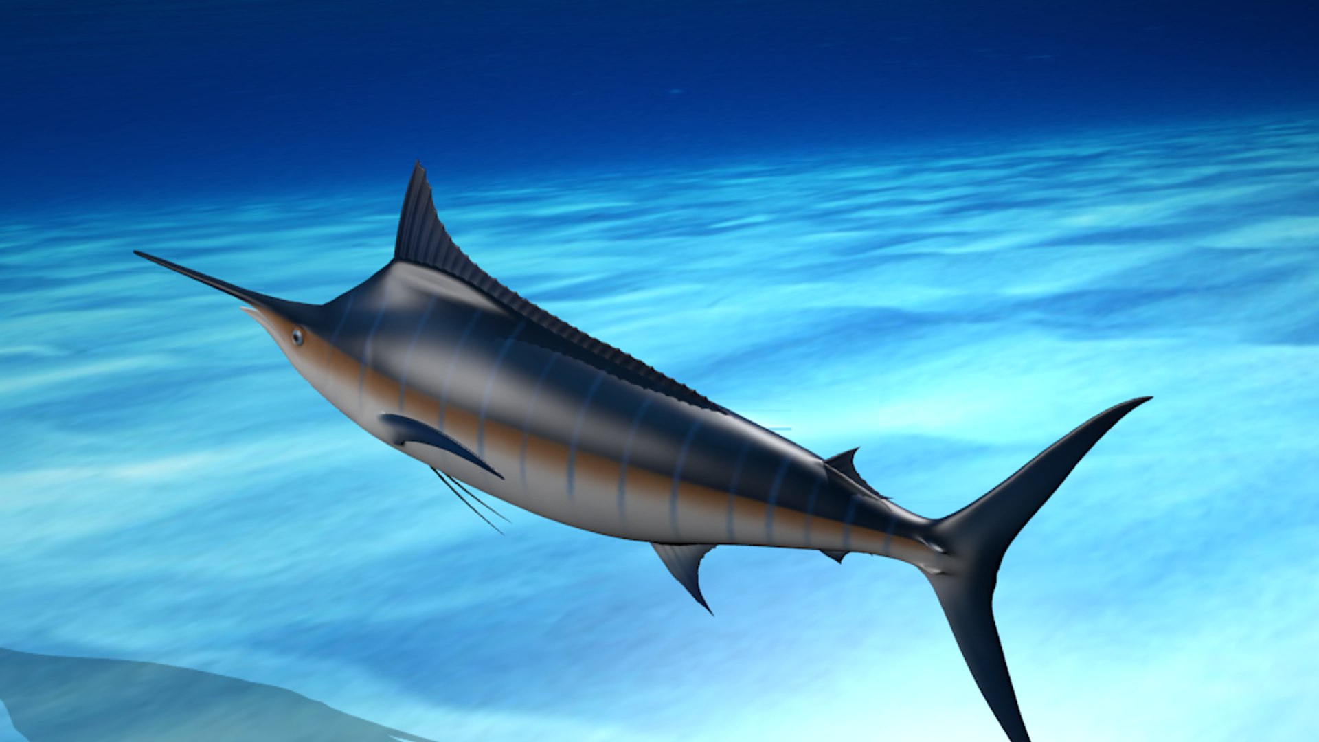 3d Model Realistic Blue Marlin Poses
