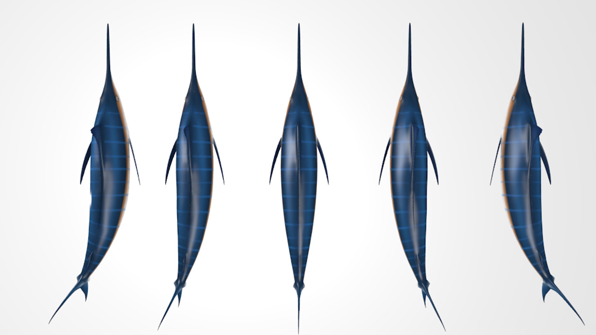 3d Model Realistic Blue Marlin Poses