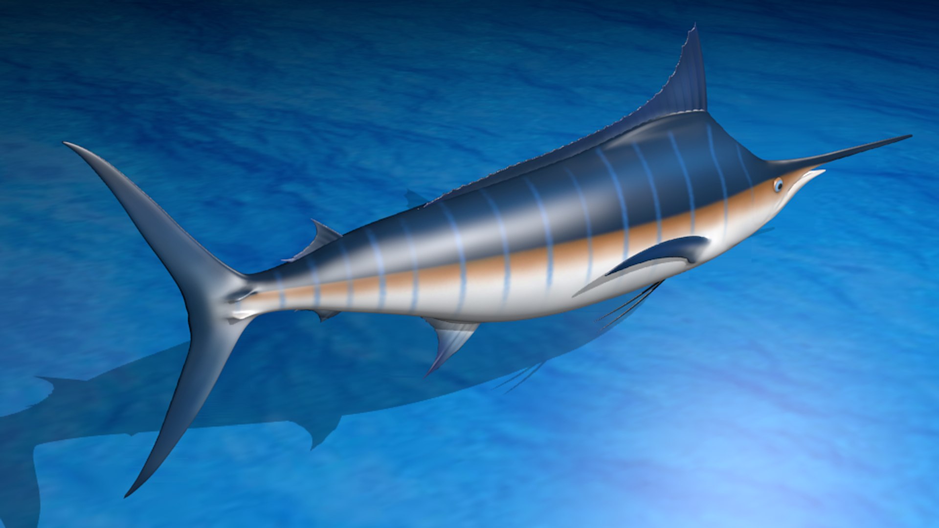 3d Model Realistic Blue Marlin Poses