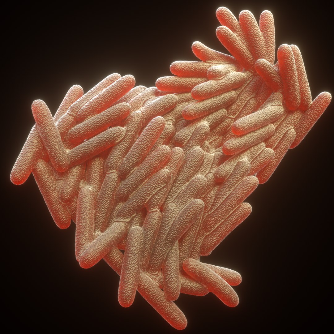 Mycobacterium Tuberculosis Model - TurboSquid 1389727
