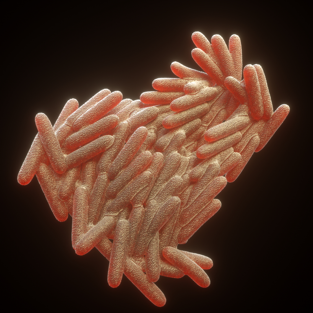 Mycobacterium tuberculosis model - TurboSquid 1389727