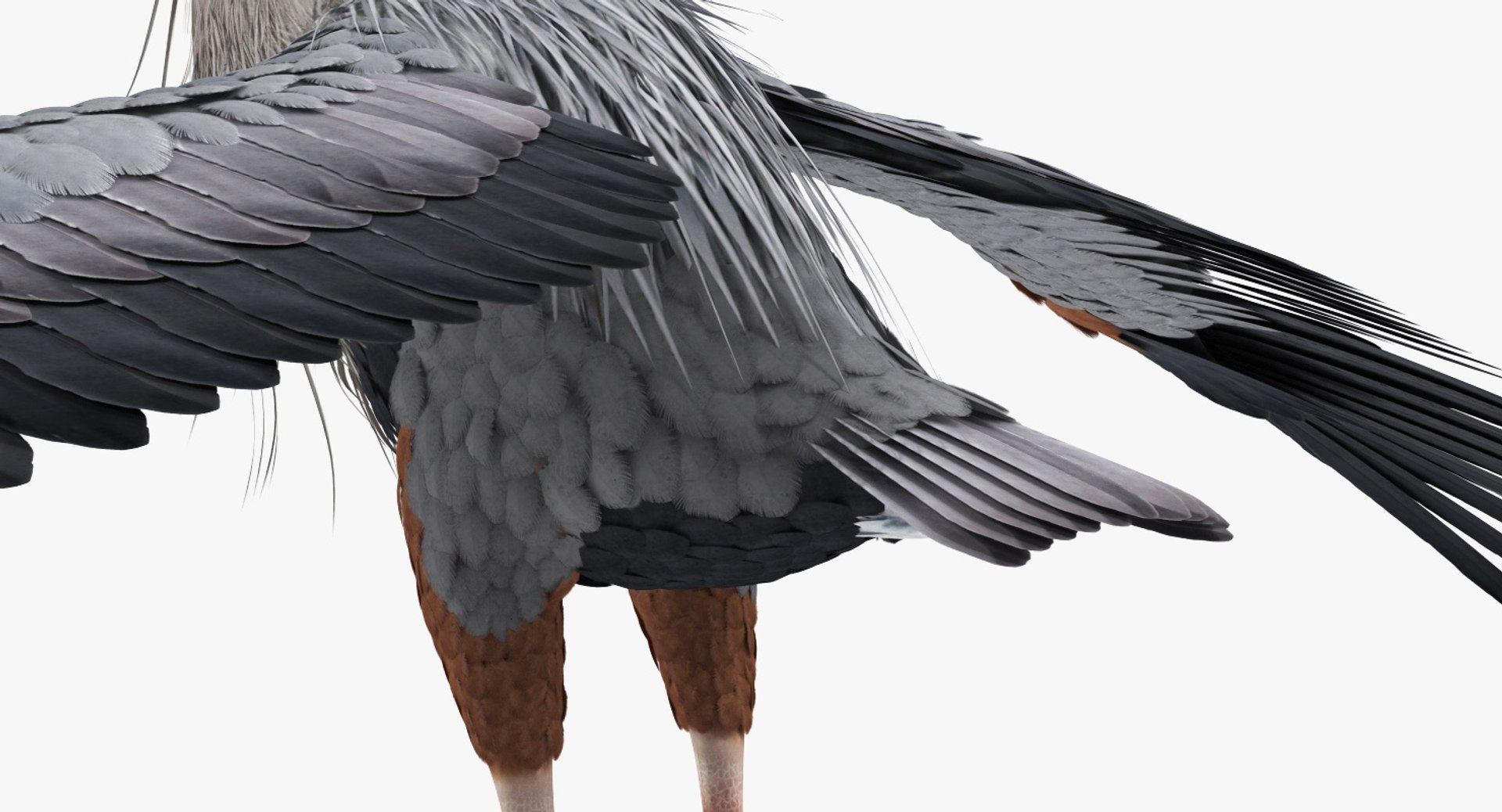 Realistic Great Blue Heron 3D Model - TurboSquid 2385129
