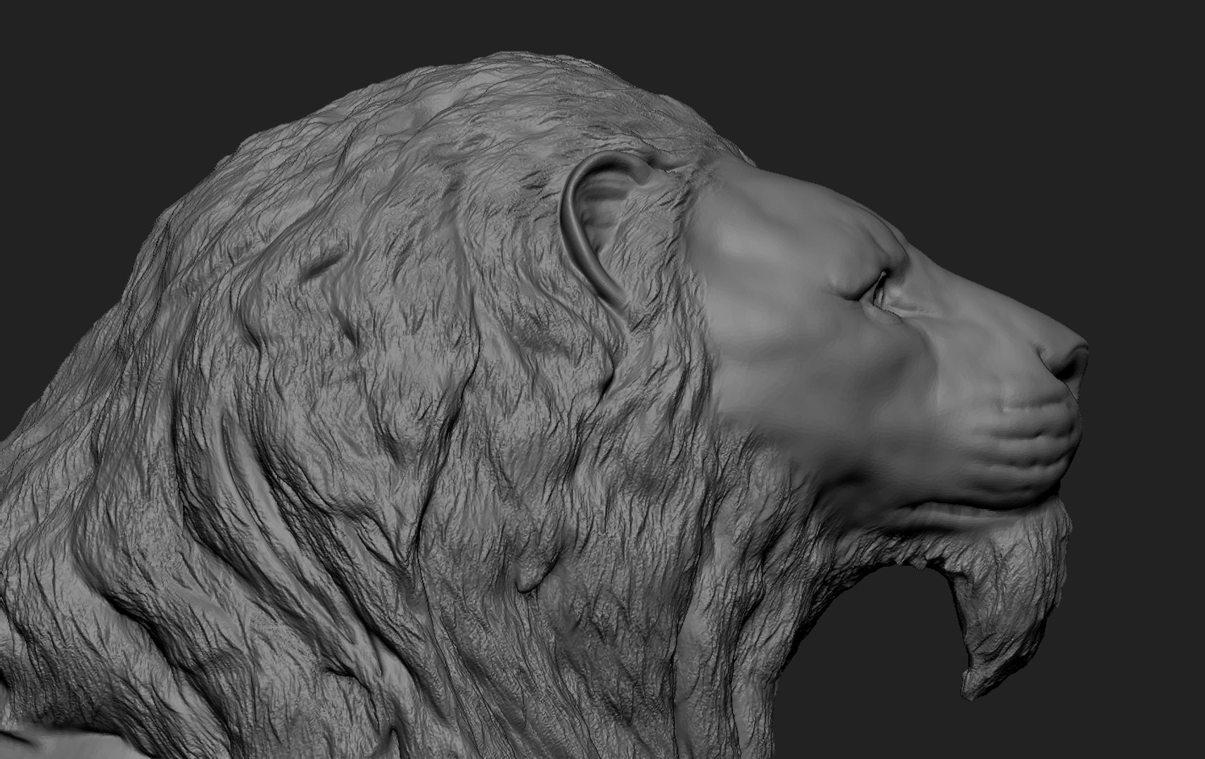 Lion Model - TurboSquid 2236204