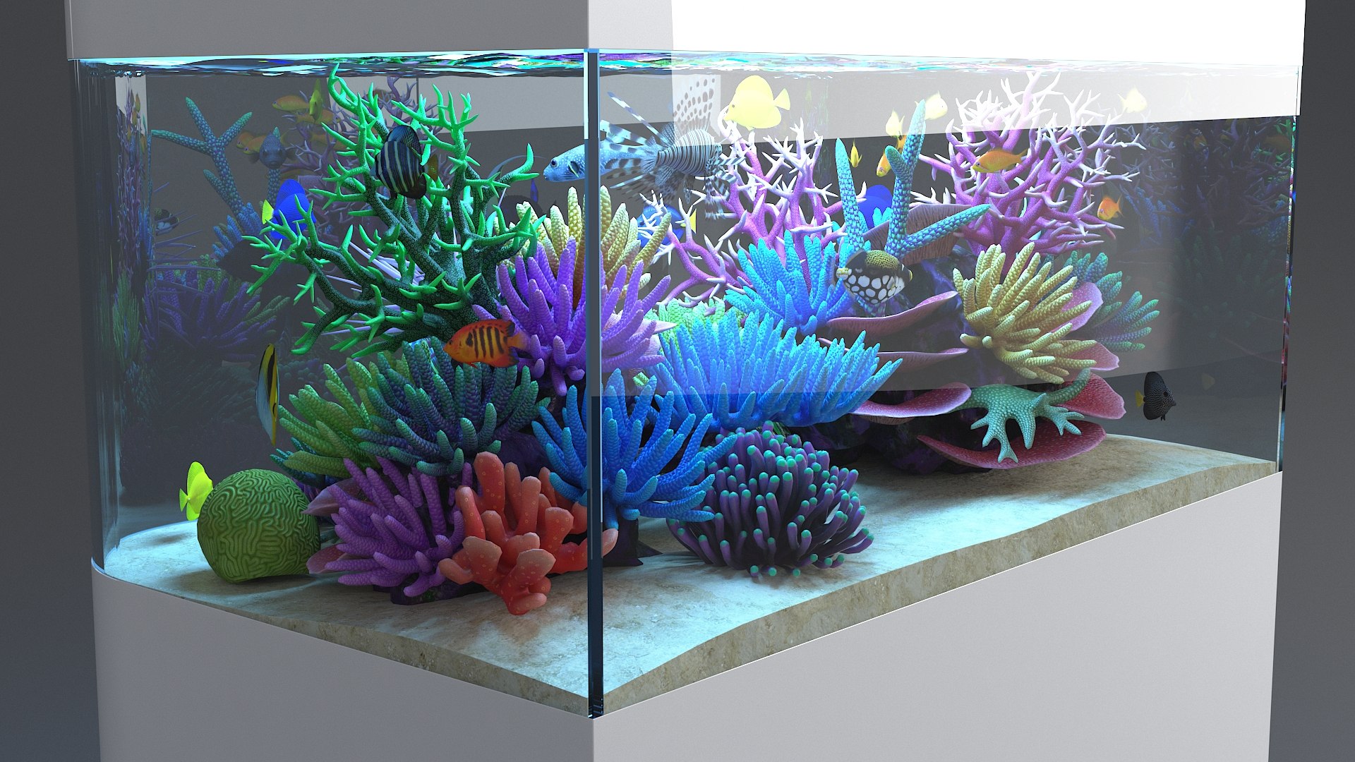 3D model aquarium 05 - TurboSquid 1502223