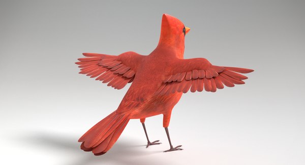 3D cardinal animations model - TurboSquid 1296191