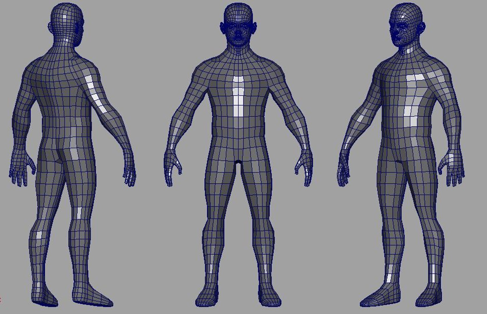 Human Male 3d Obj