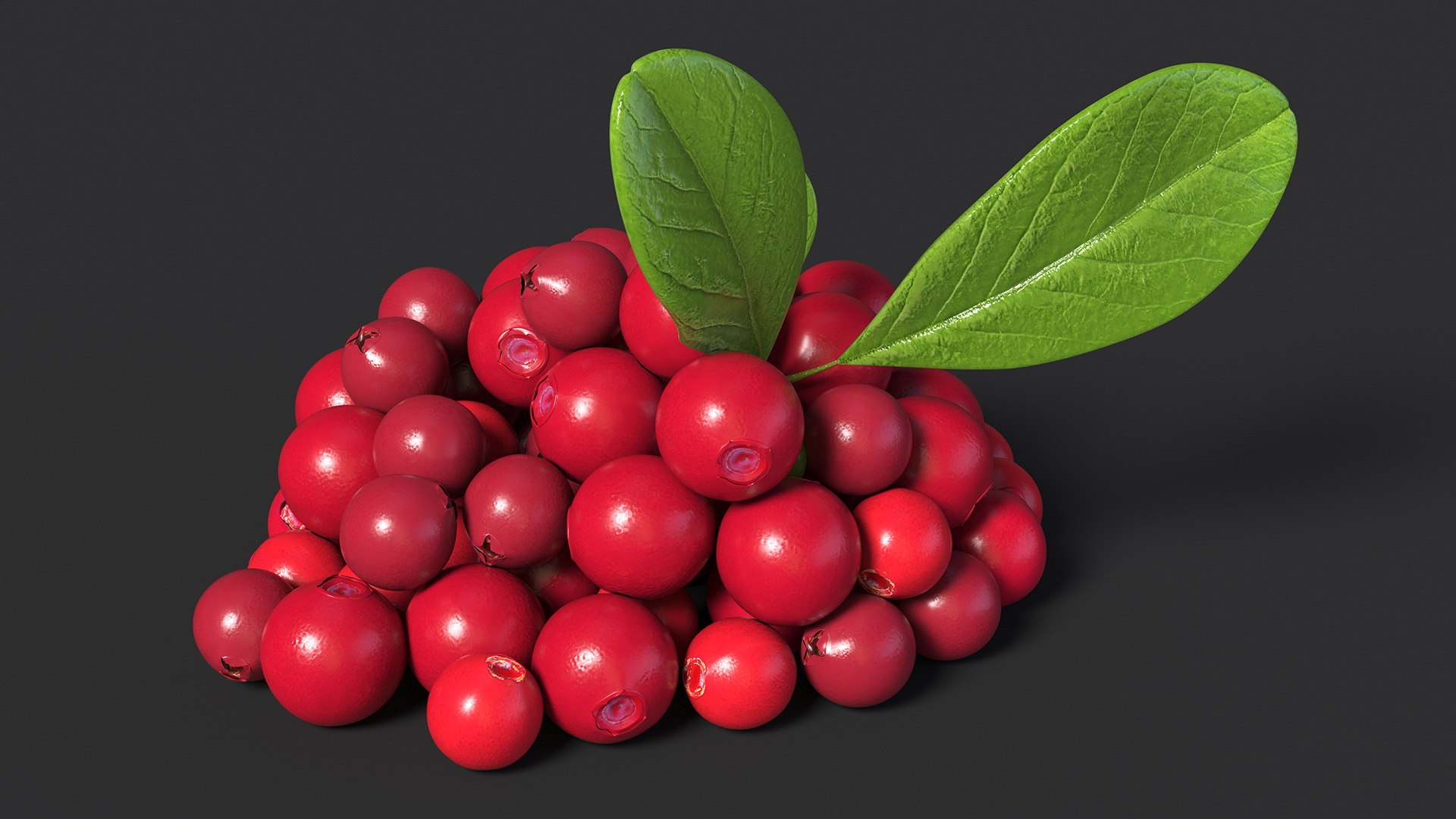 3D Bunch Of Cranberries With Leaves - TurboSquid 2185726