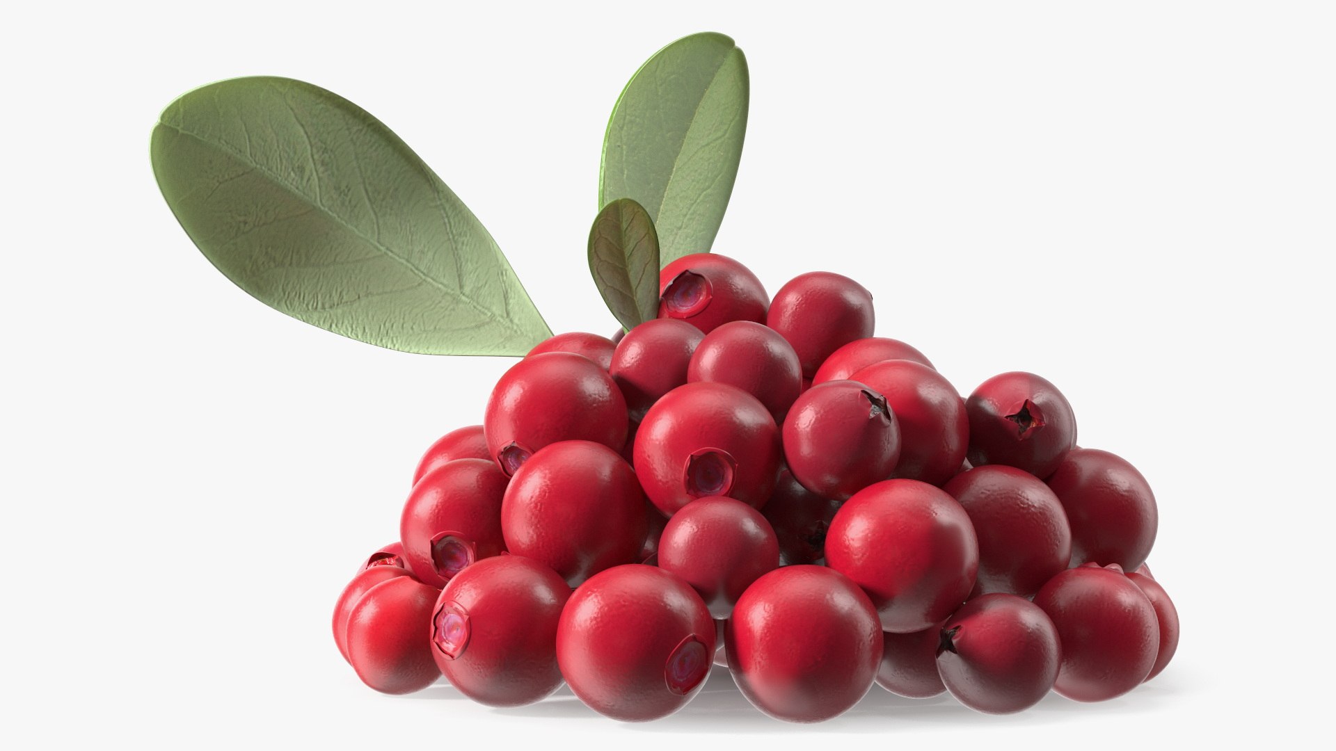 3D Bunch Of Cranberries With Leaves - TurboSquid 2185726