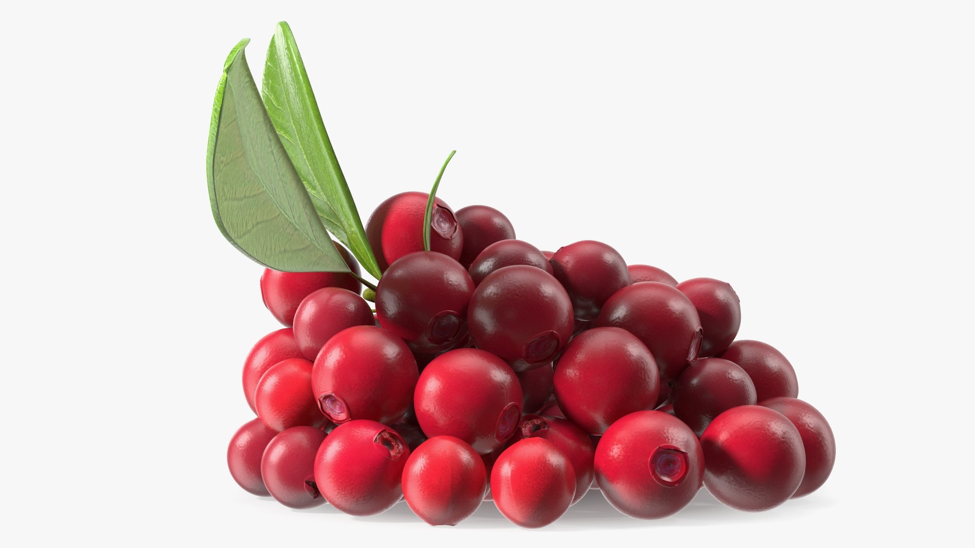 3D Bunch Of Cranberries With Leaves - TurboSquid 2185726