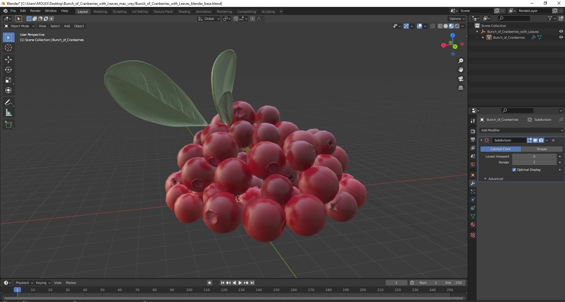 3D Bunch Of Cranberries With Leaves - TurboSquid 2185726