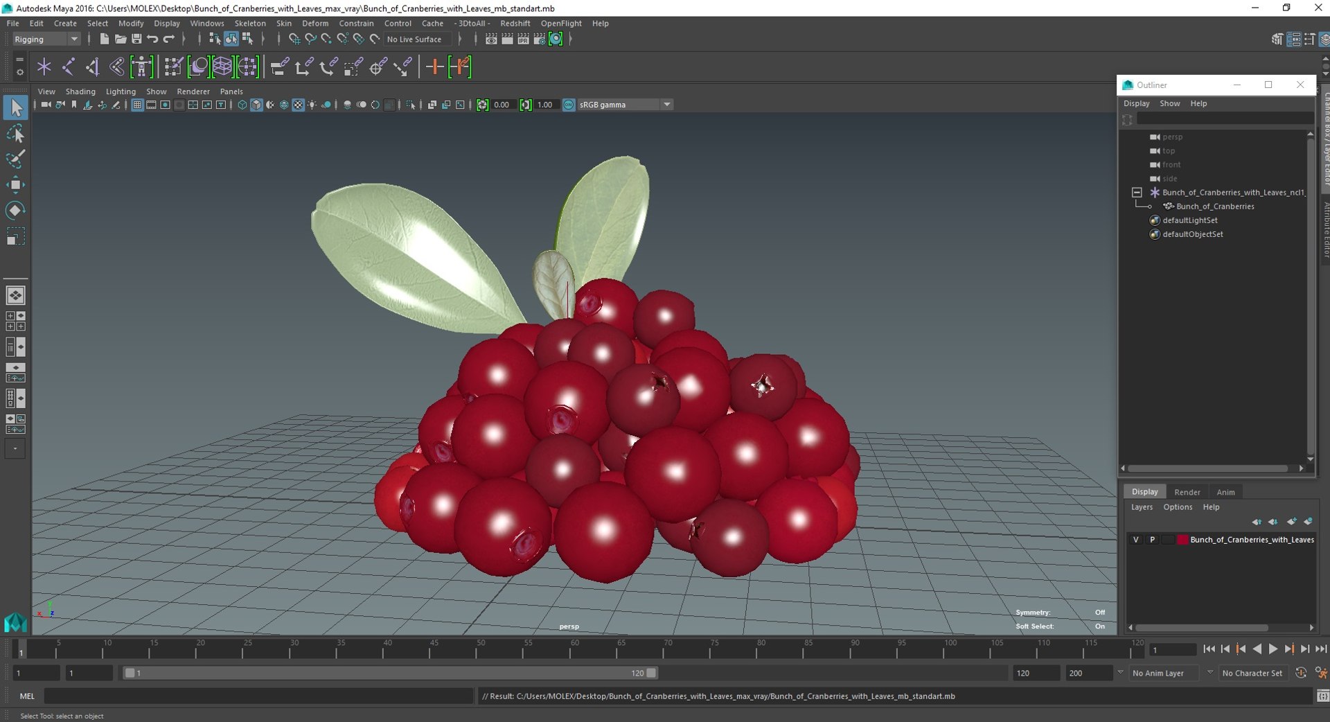 3D Bunch Of Cranberries With Leaves - TurboSquid 2185726