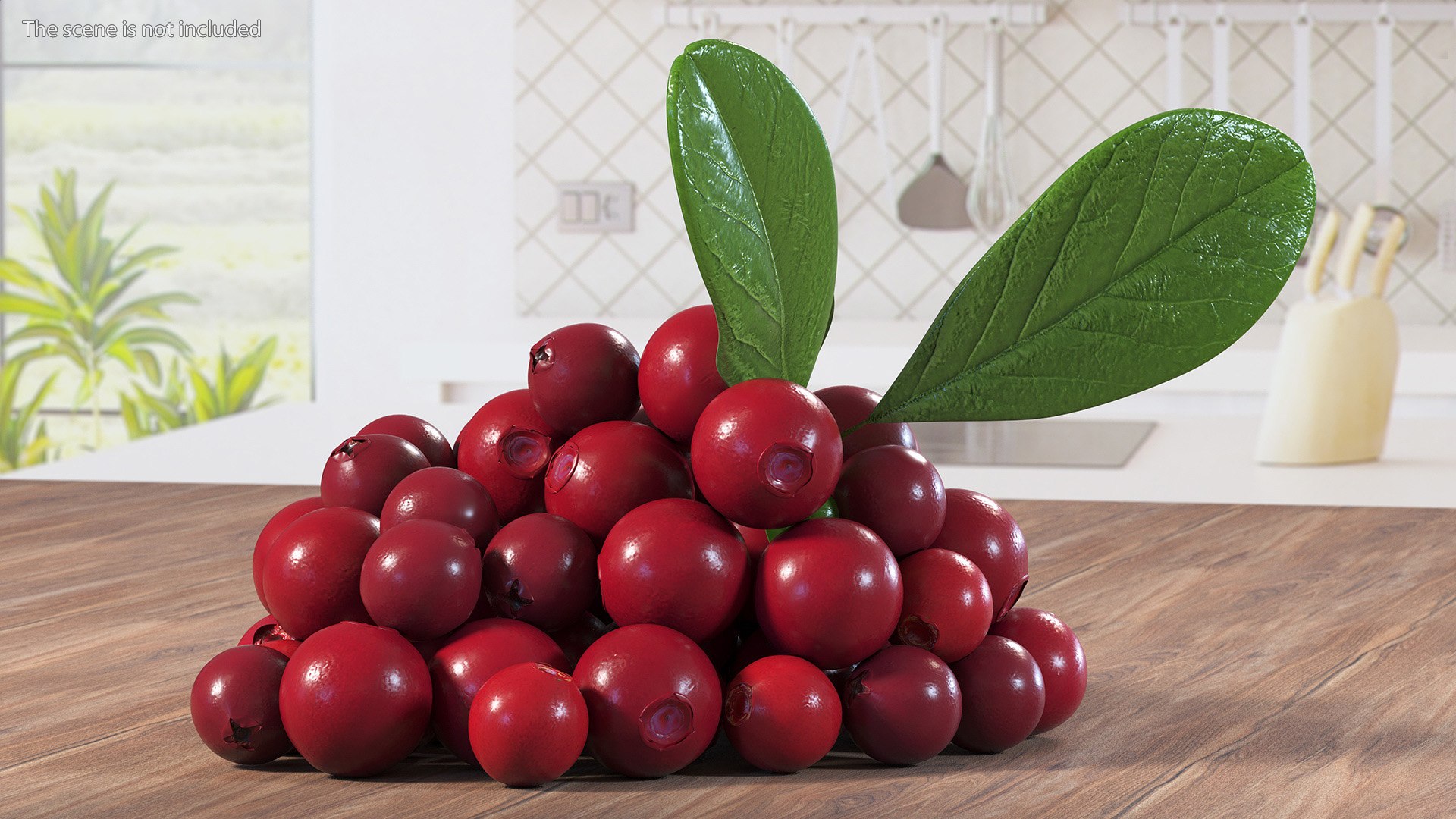 3D Bunch Of Cranberries With Leaves - TurboSquid 2185726