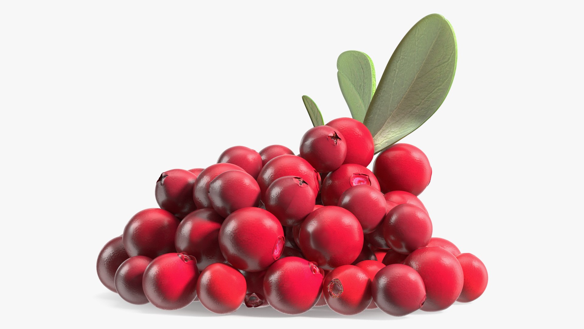 3D Bunch Of Cranberries With Leaves - TurboSquid 2185726