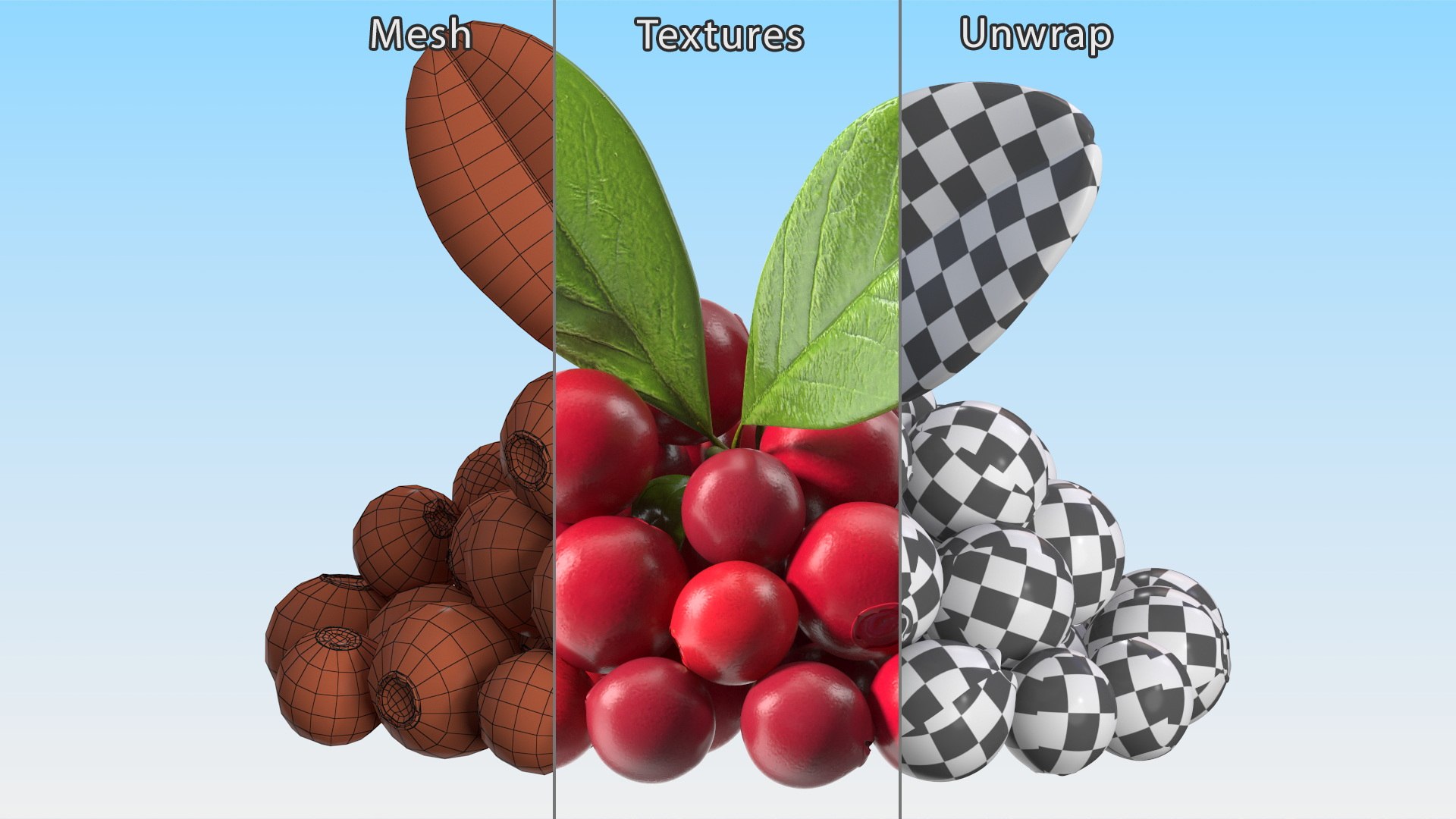 3D Bunch Of Cranberries With Leaves - TurboSquid 2185726