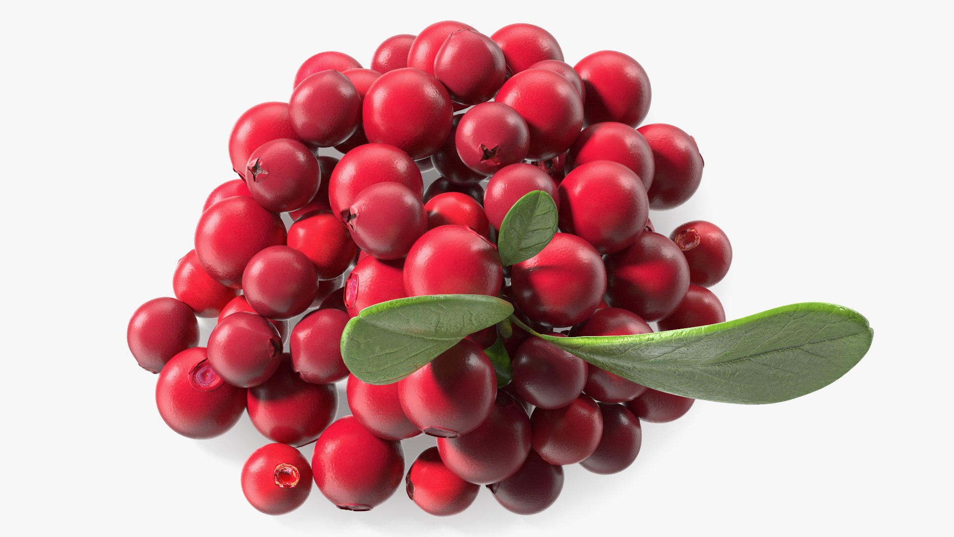 3D Bunch Of Cranberries With Leaves - TurboSquid 2185726