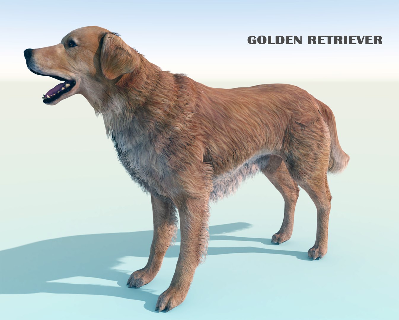Realistic Dog Golden Retriever With Fur And Rigged 3D Model ...