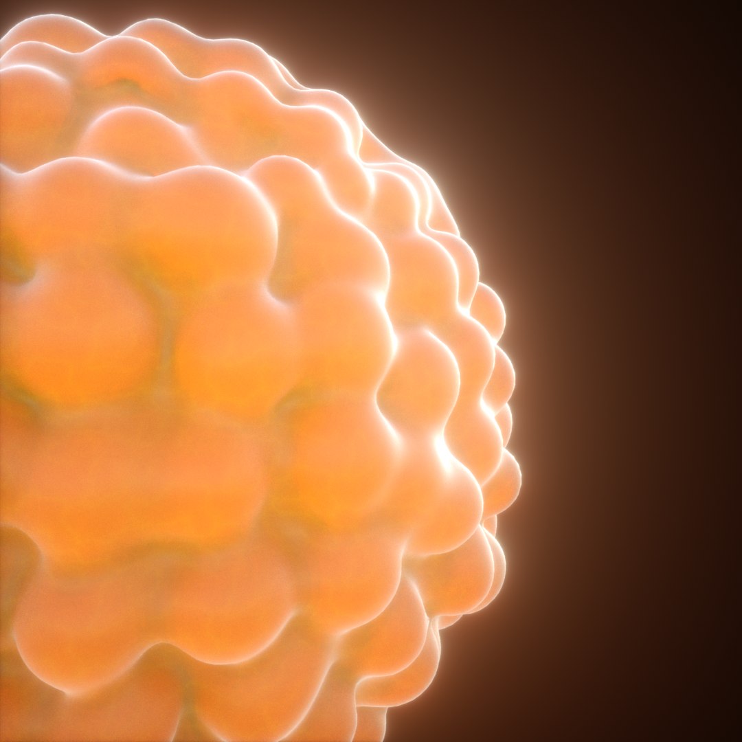 3D Model Herpes Virus - TurboSquid 1389433