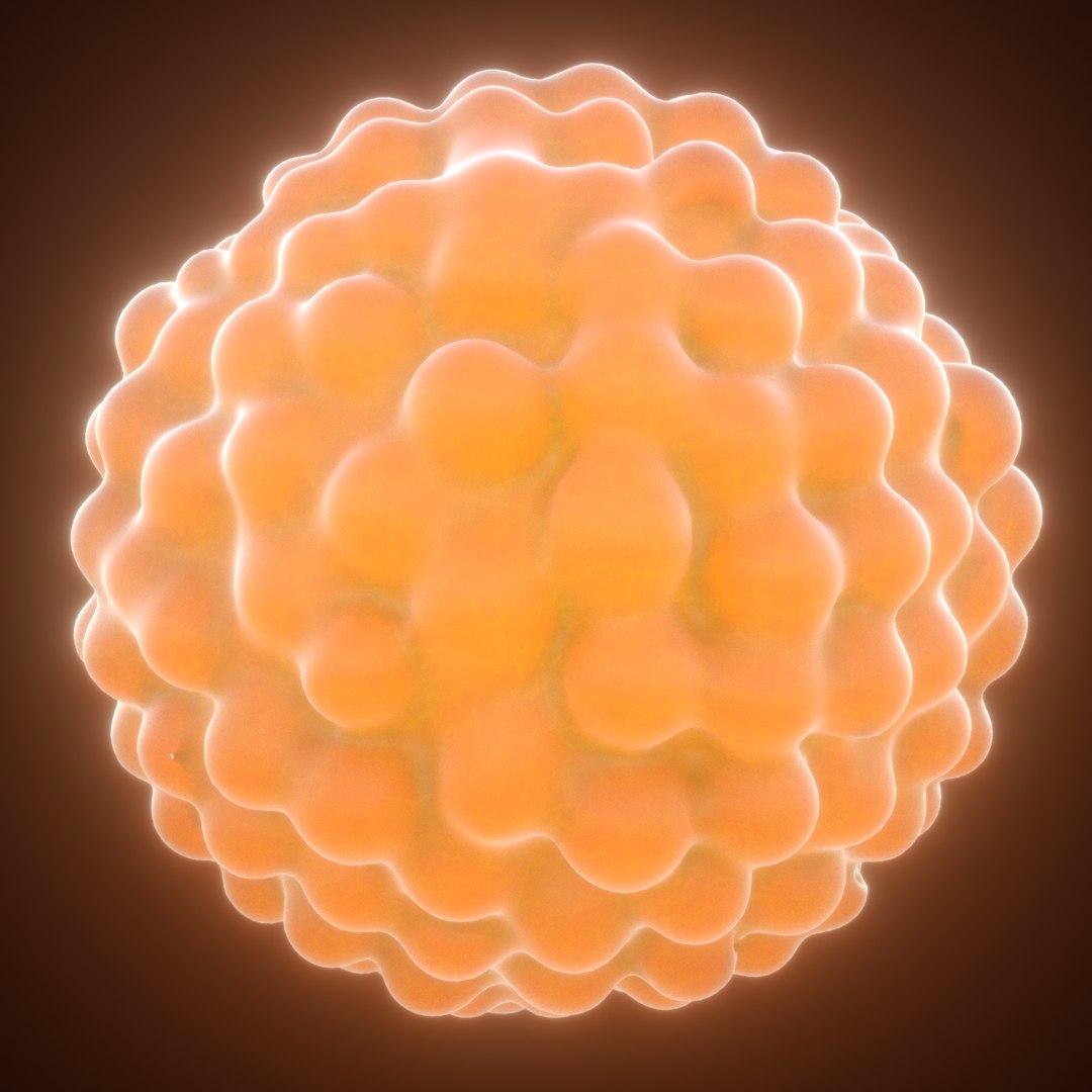 3D Model Herpes Virus - TurboSquid 1389433