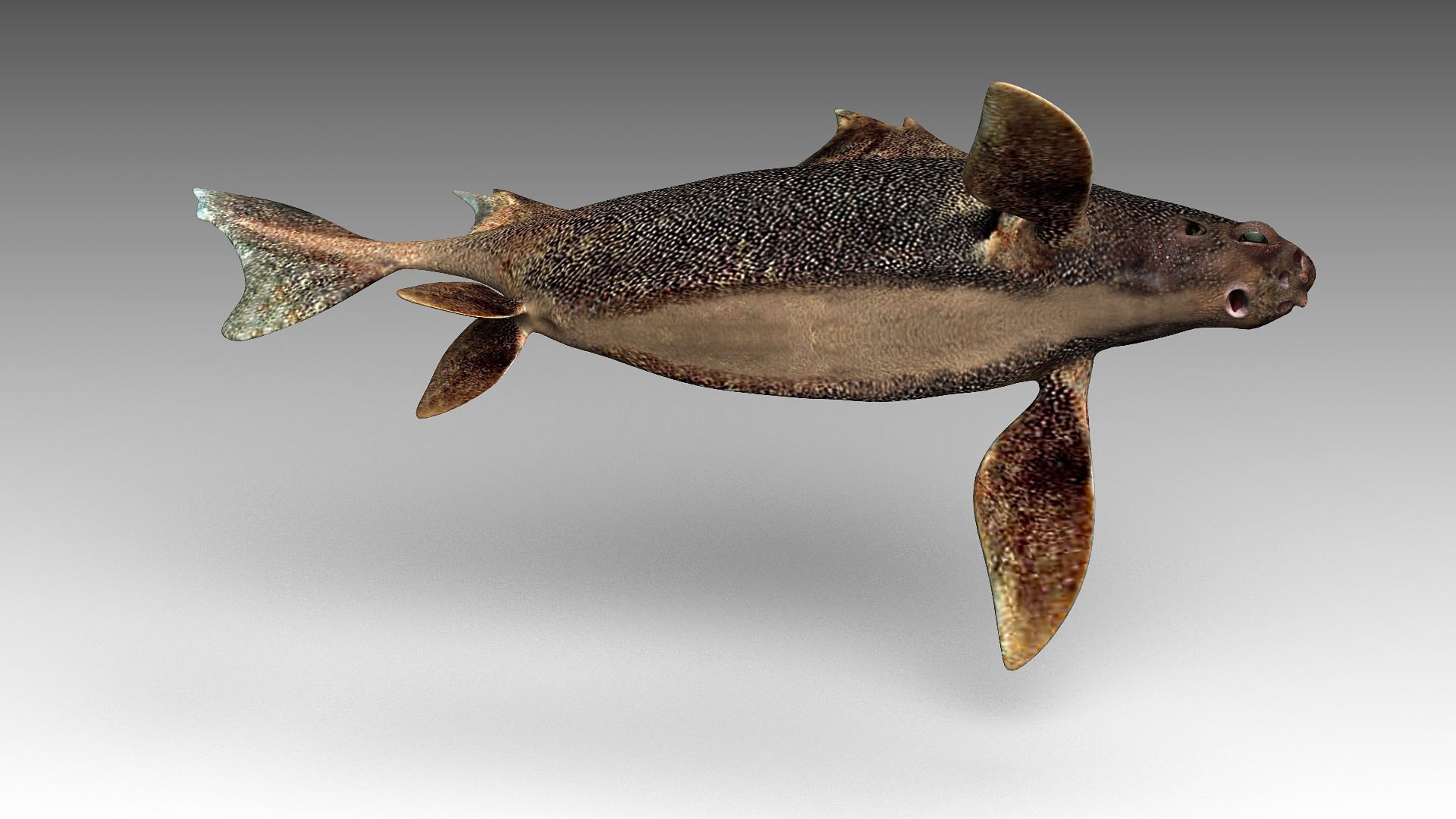 Shark Pig 3D Model - TurboSquid 2142550