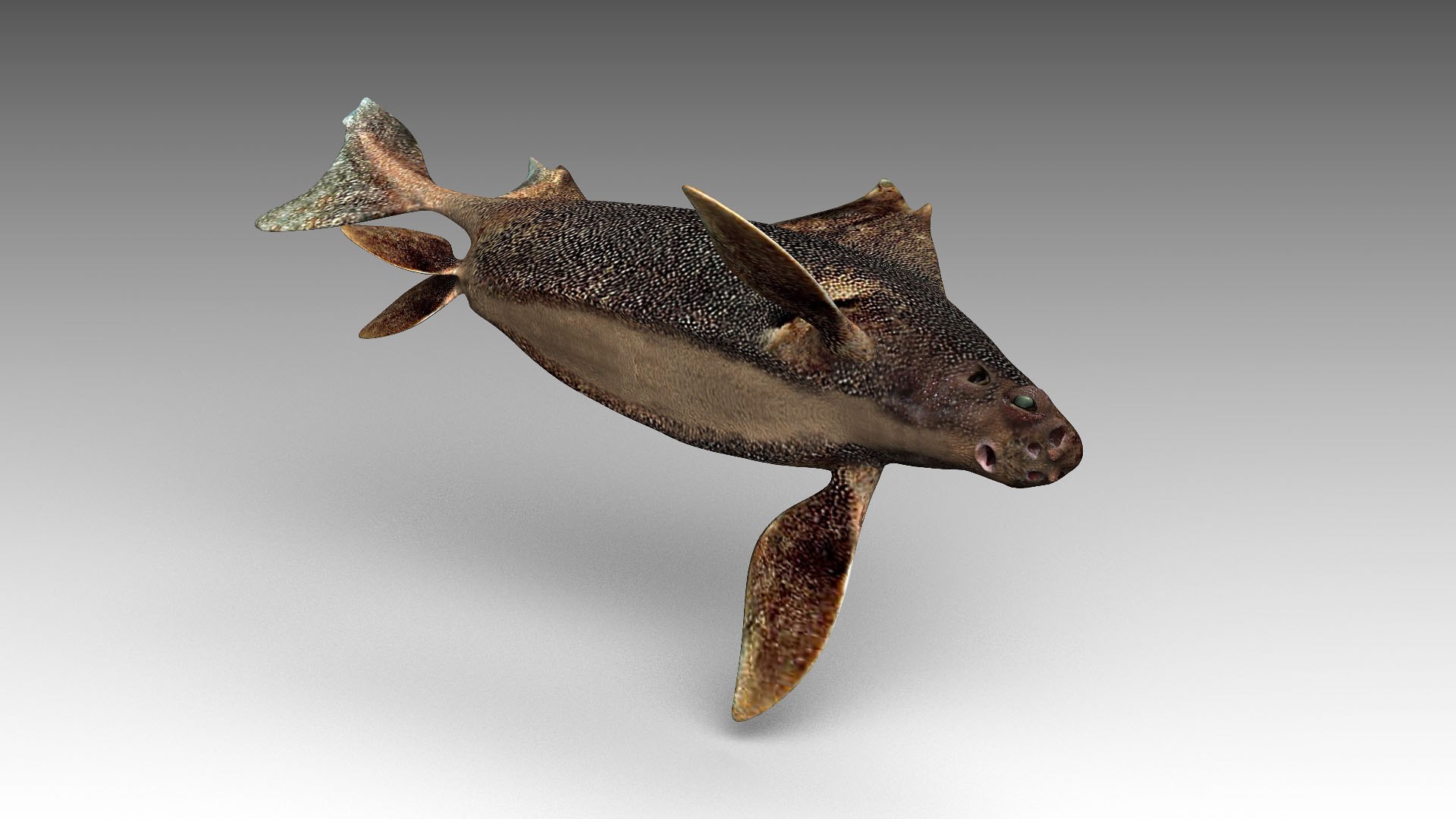 Shark Pig 3D Model - TurboSquid 2142550