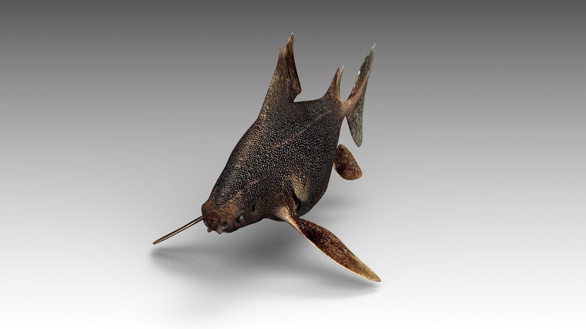 Shark Pig 3D Model - TurboSquid 2142550