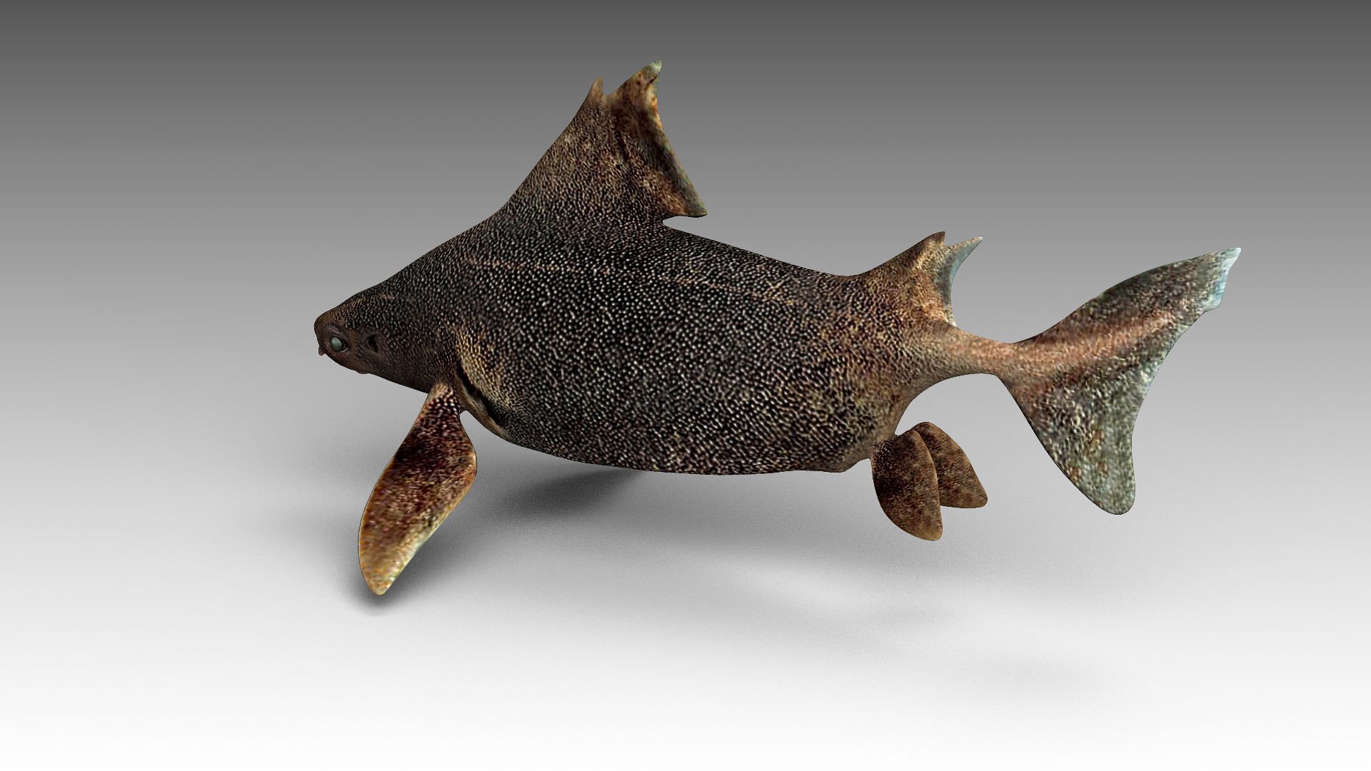 Shark Pig 3D Model - TurboSquid 2142550