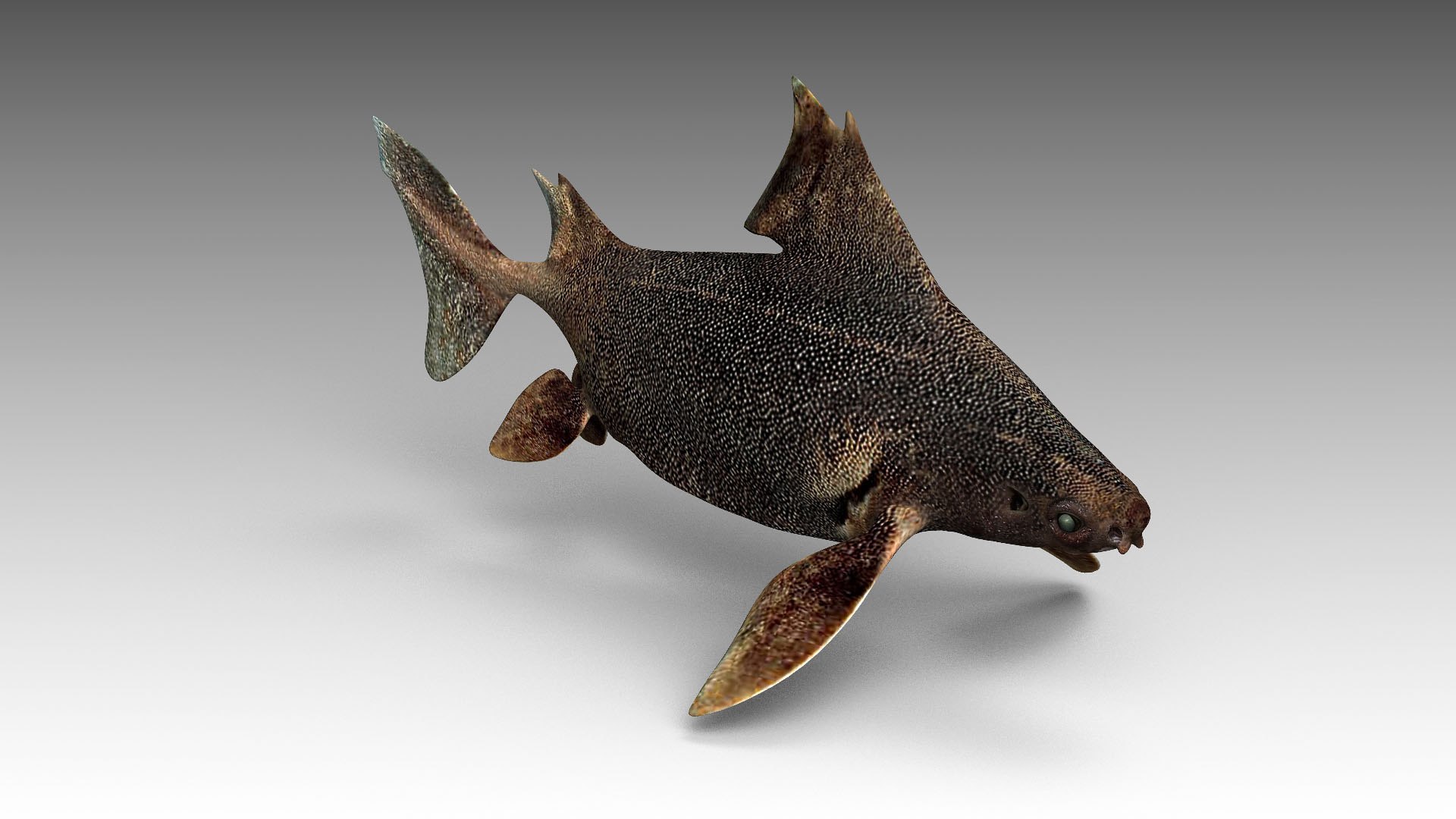 Shark Pig 3D Model - TurboSquid 2142550