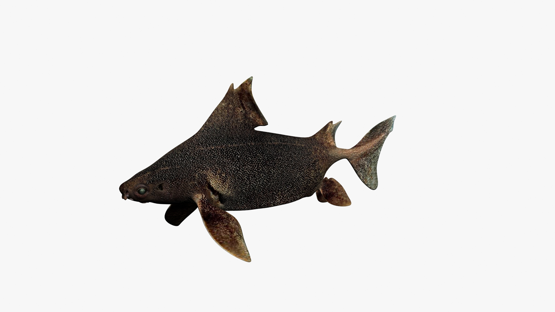 Shark Pig 3D Model - TurboSquid 2142550