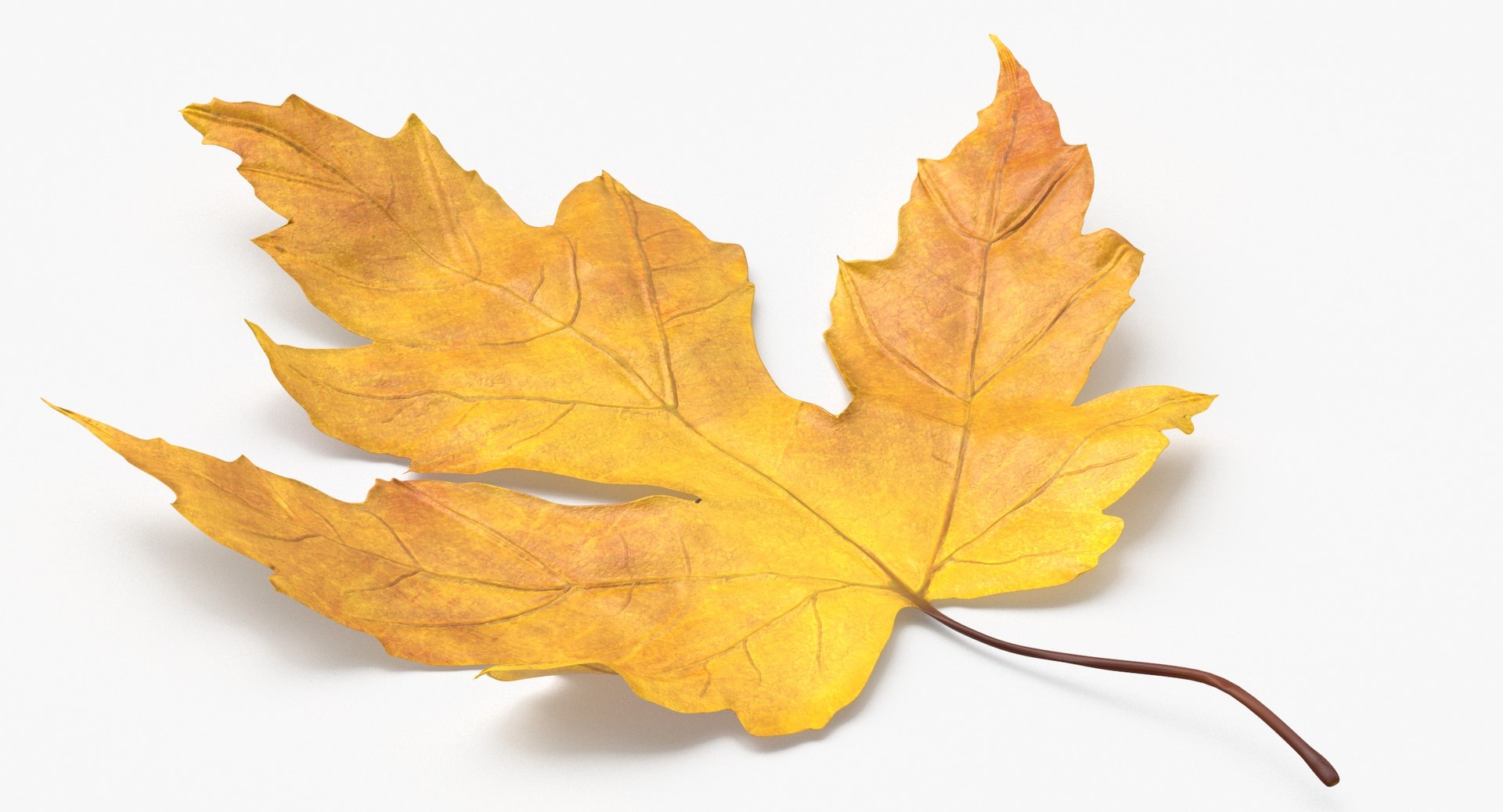 Prop Autumn Leaves Type 02 3D - TurboSquid 2151085