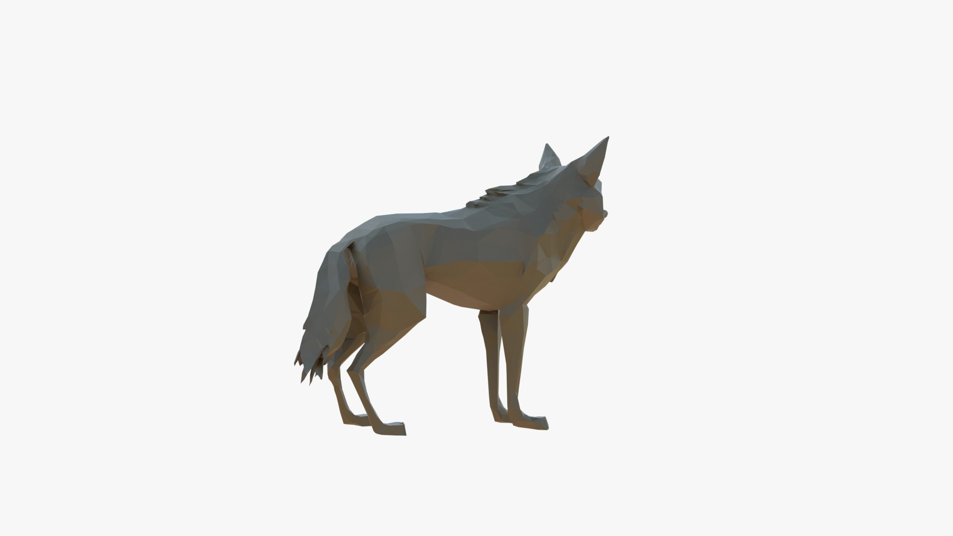 3D Wolf Low Poly Model - TurboSquid 2429816