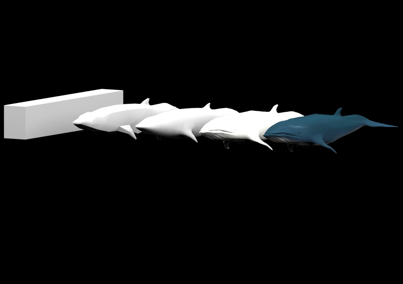 Blue whale model - TurboSquid 1154380