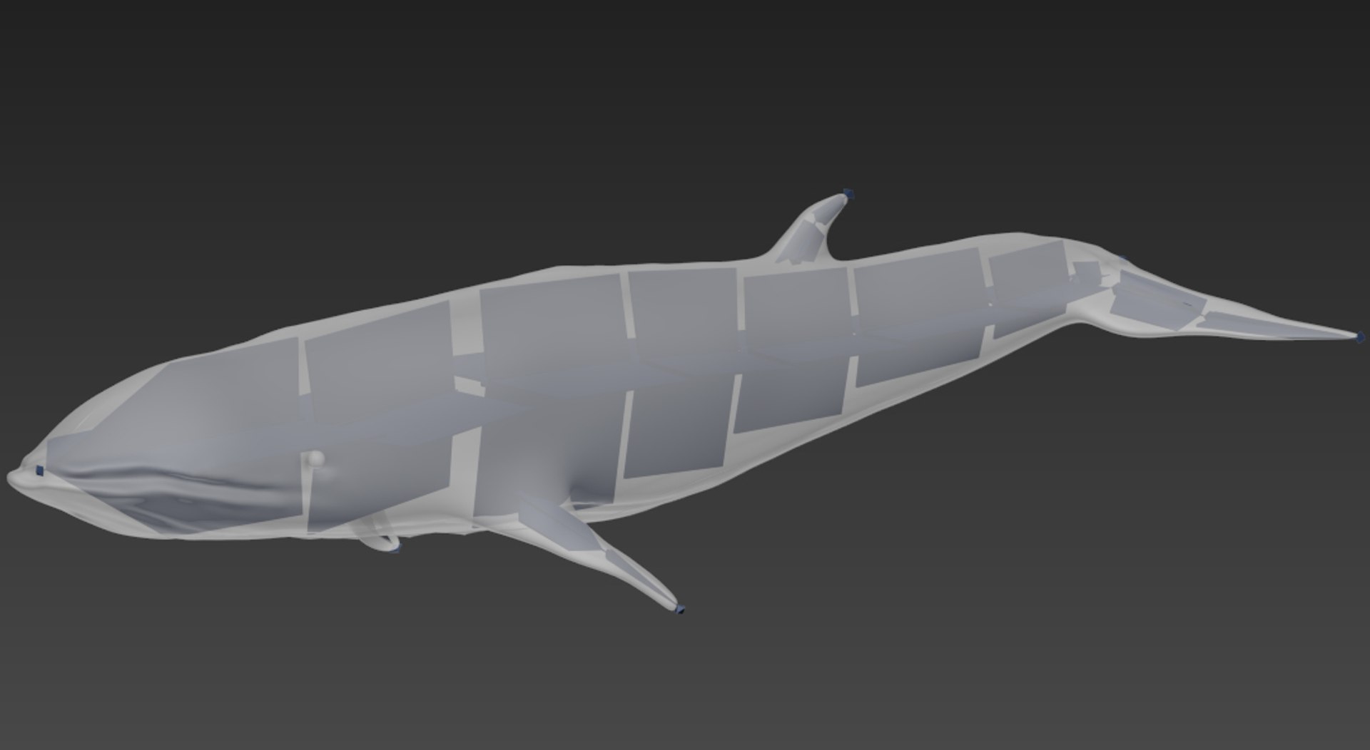 Blue whale model - TurboSquid 1154380