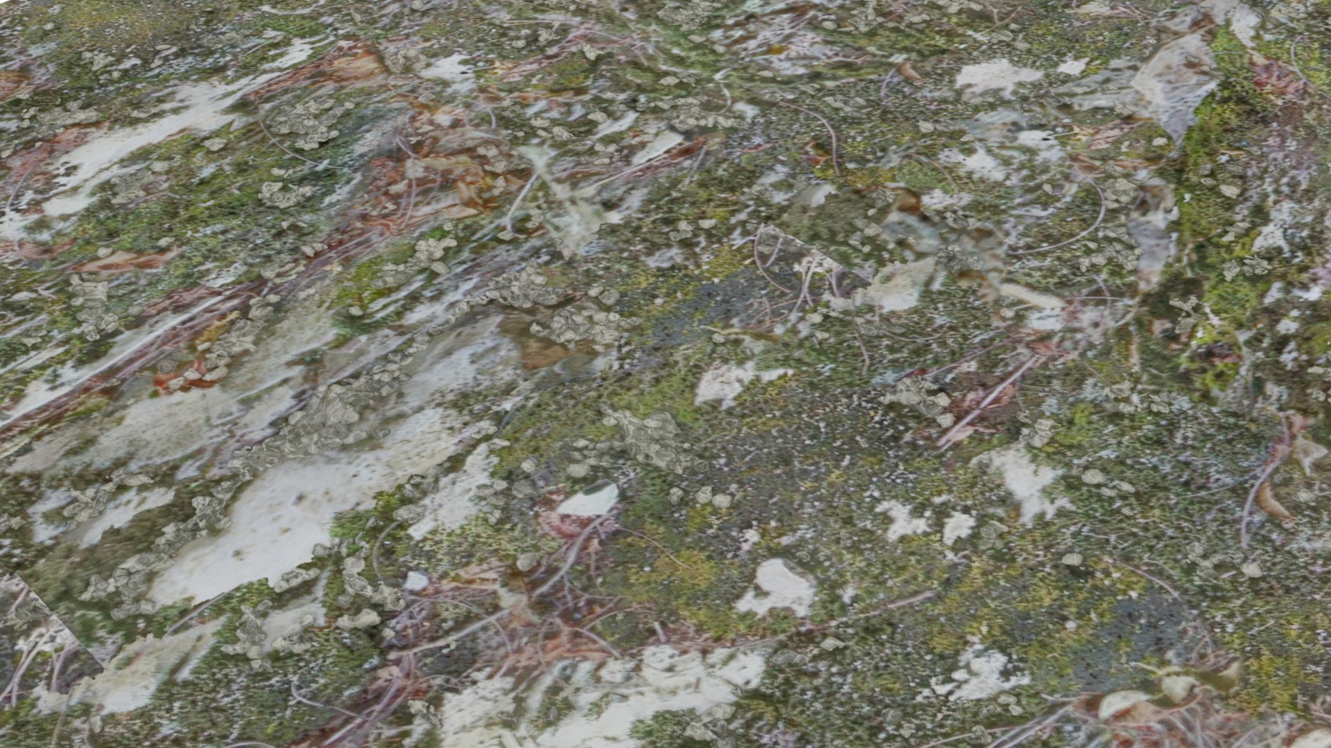 3D Model Moss Rock - TurboSquid 1845074