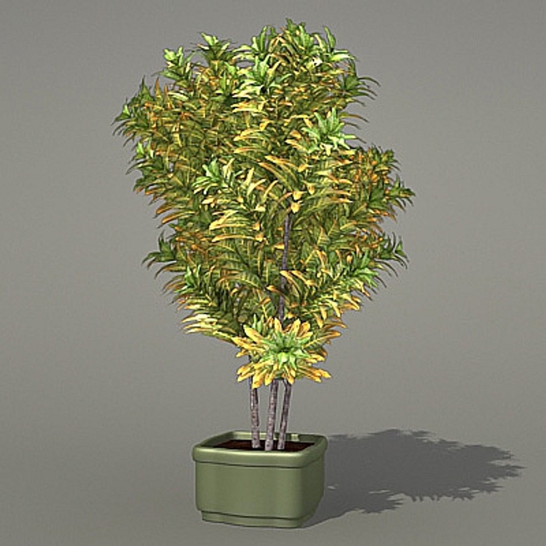 3d plant