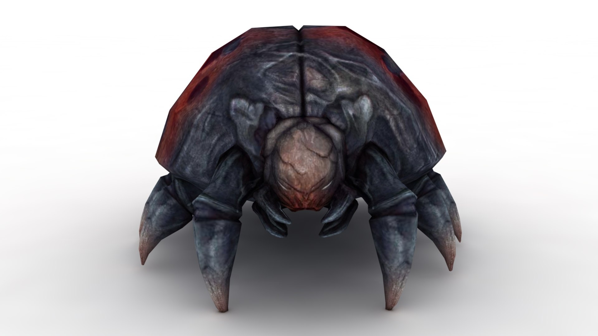 Bug 3D Model - TurboSquid 1867142