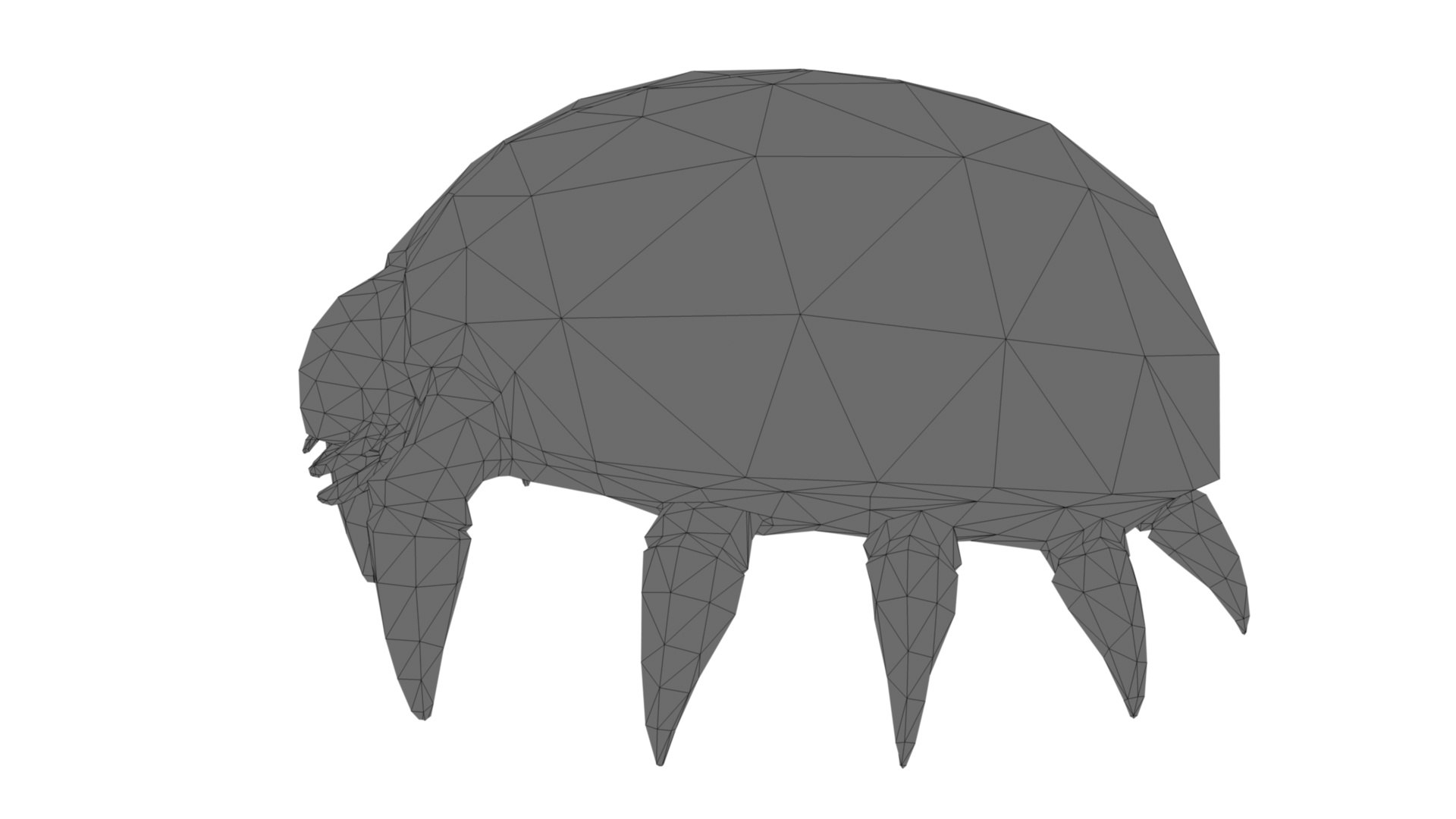 Bug 3D Model - TurboSquid 1867142