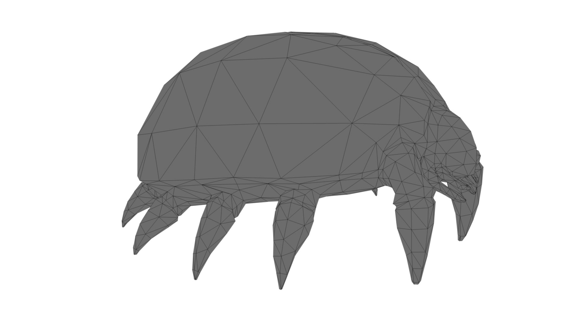 Bug 3D Model - TurboSquid 1867142