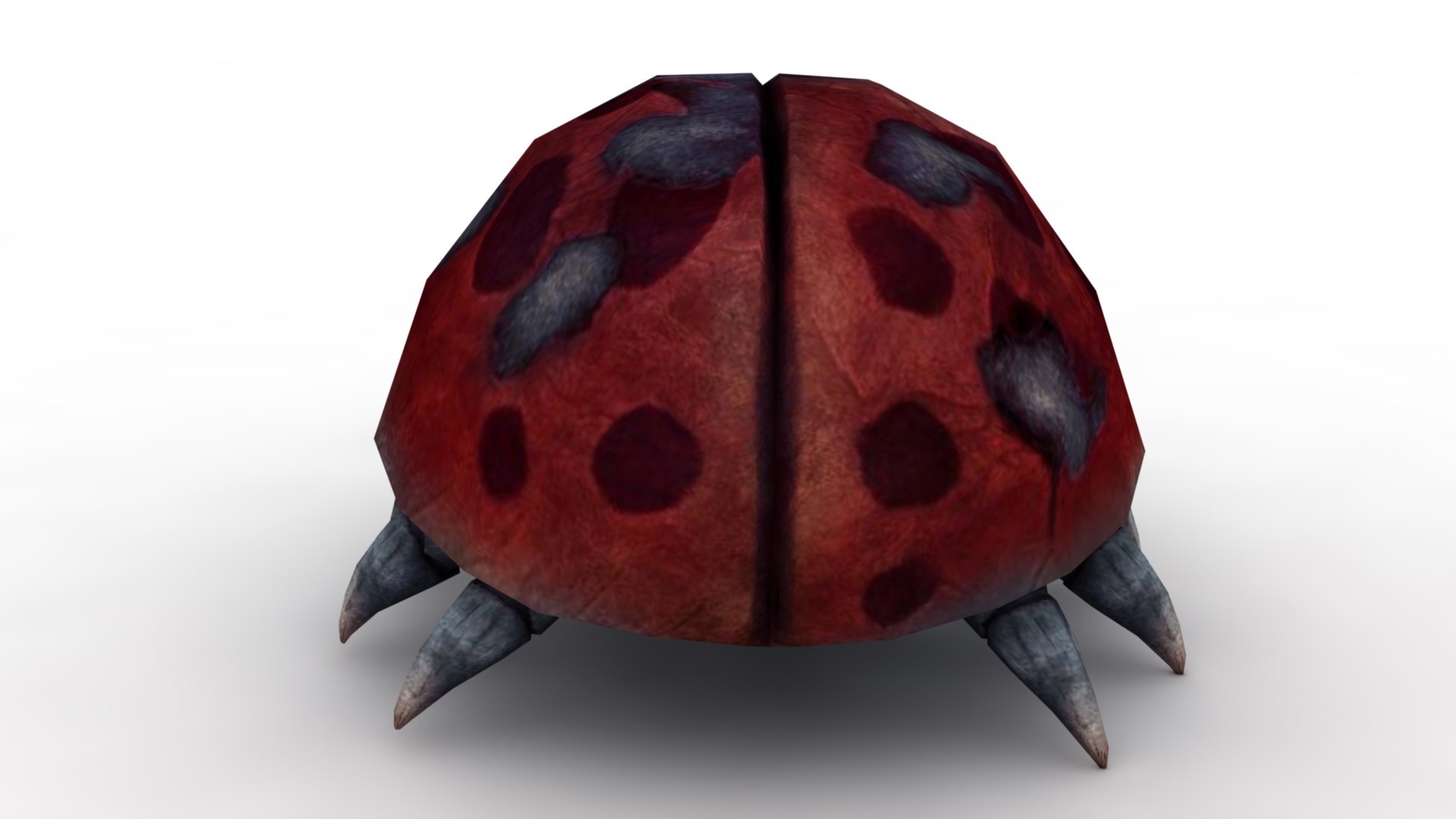 Bug 3D Model - TurboSquid 1867142