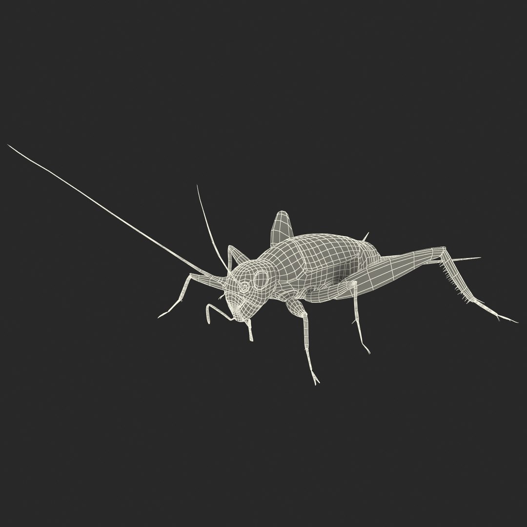 Cricket 3d 3ds